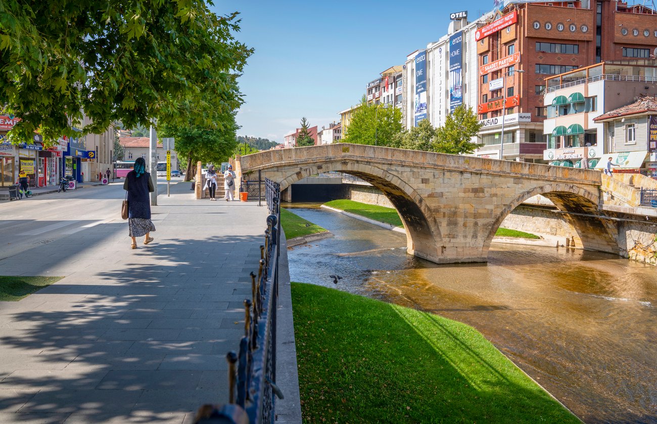 Guidelines for Aesthetic Bridge Design