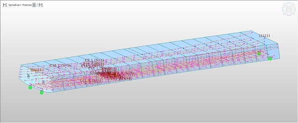 Spine and Wing Construction