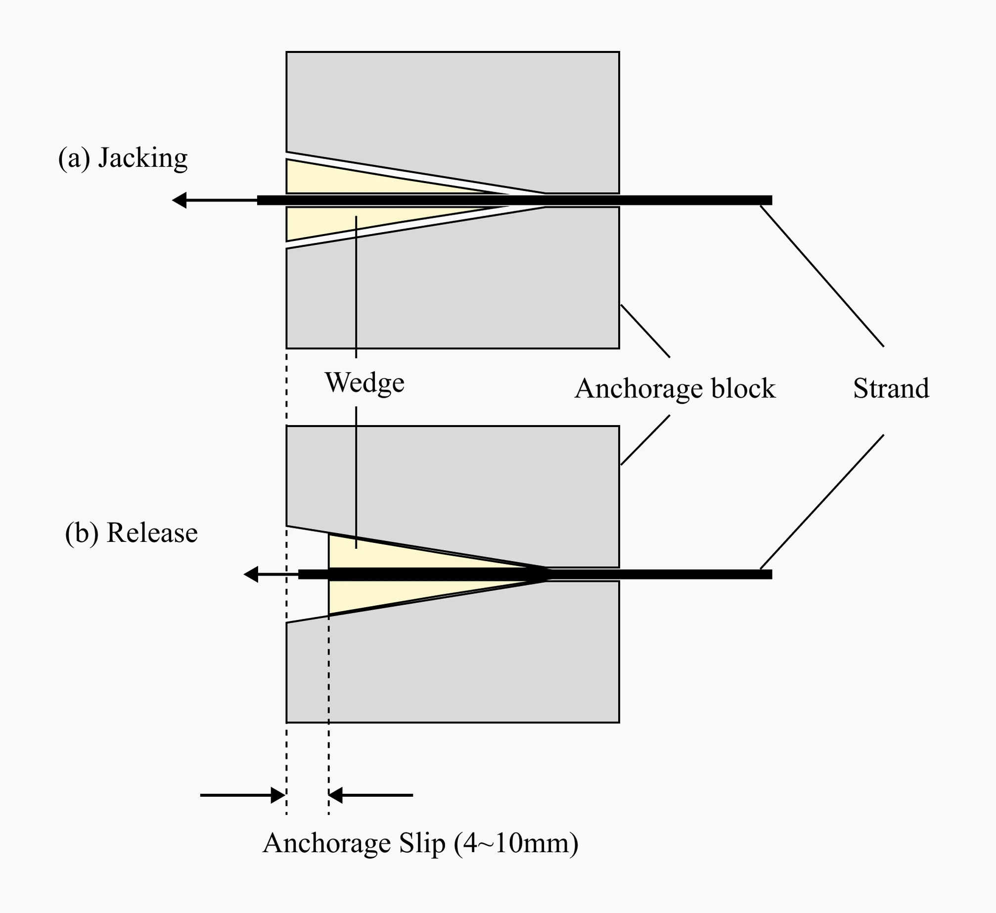 The Impact of Tendon Profile Choices on Curved Bridge Structures