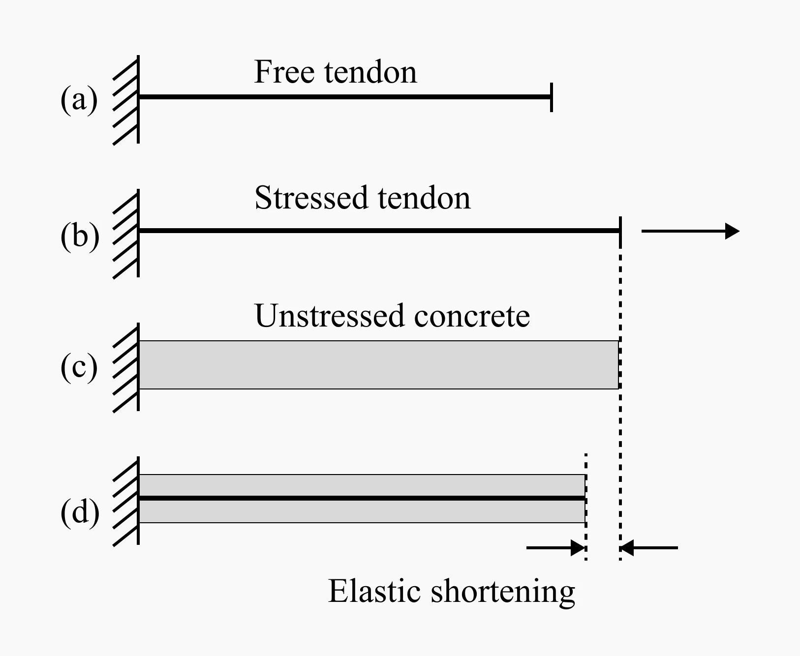 The Impact of Tendon Profile Choices on Curved Bridge Structures
