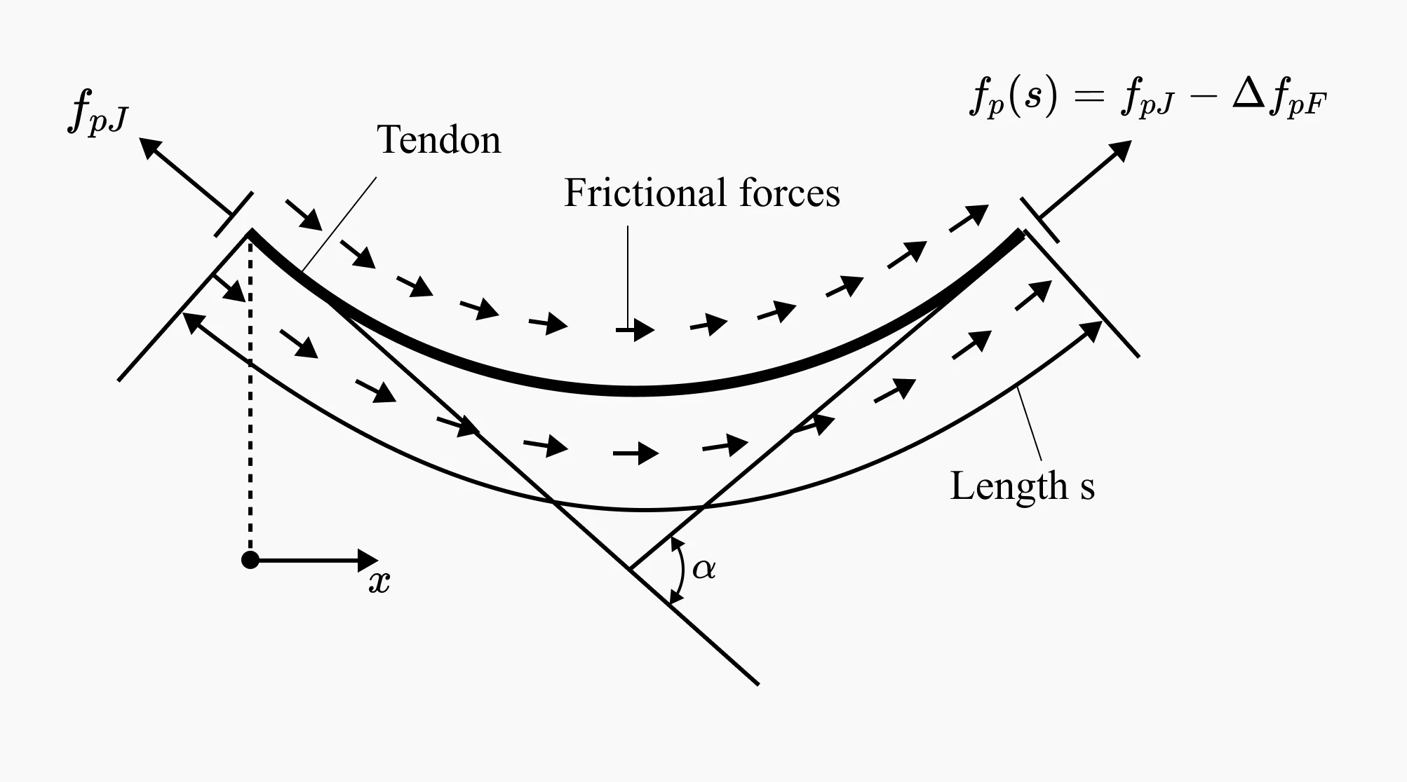 The Impact of Tendon Profile Choices on Curved Bridge Structures