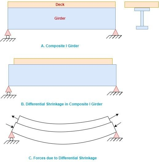The Impact of Differential Shrinkage