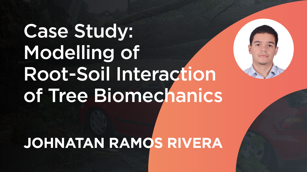 Blog | Modelling of Root-Soil Interaction of Tree Biomechanics