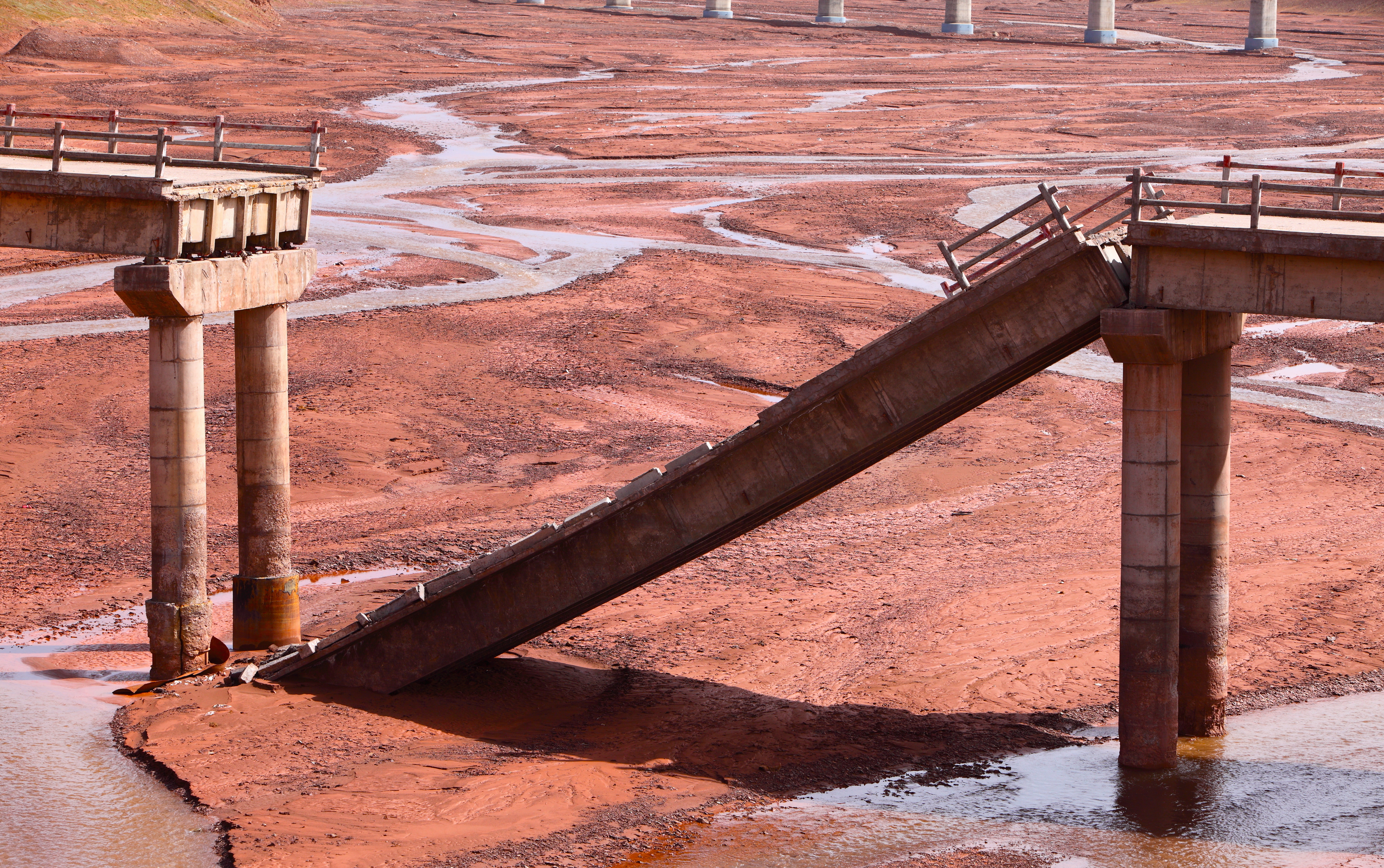 Designing a Resilient Bridge in a Seismic Region