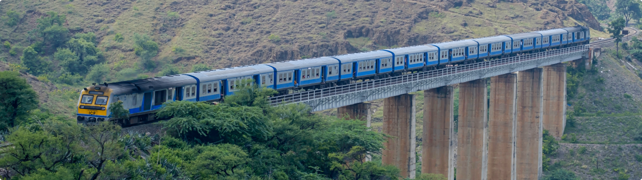 Rail-Structure Interaction for Double track bridge